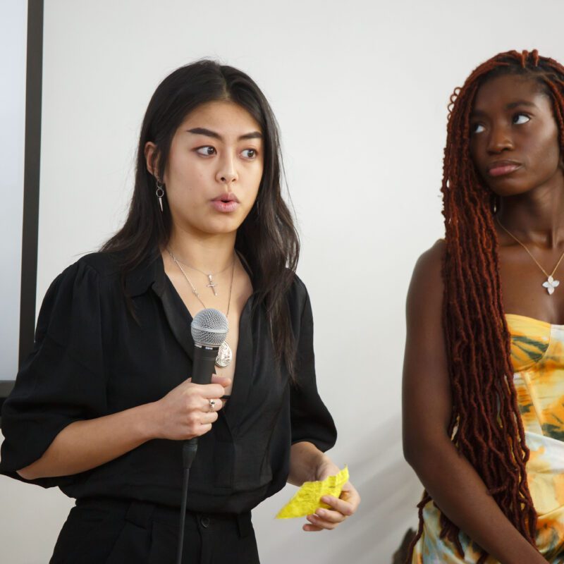 African/Africana/African American Studies Minor - Undergraduate