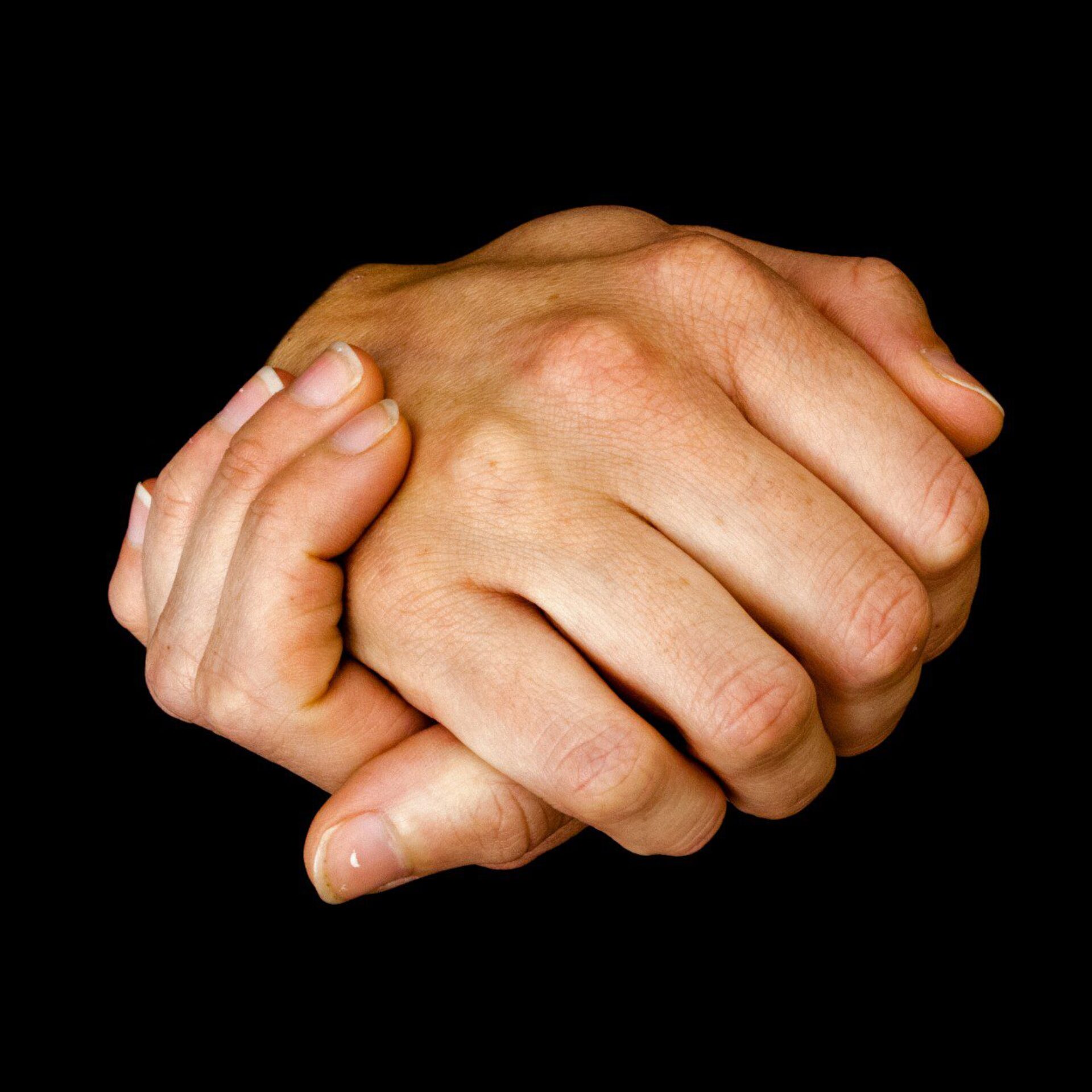 Home - Brudnick Center on Violence and Conflict