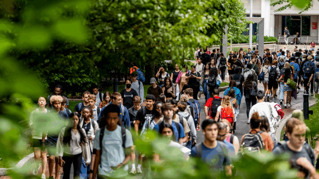 Spring 2025 Undergraduate Courses - English