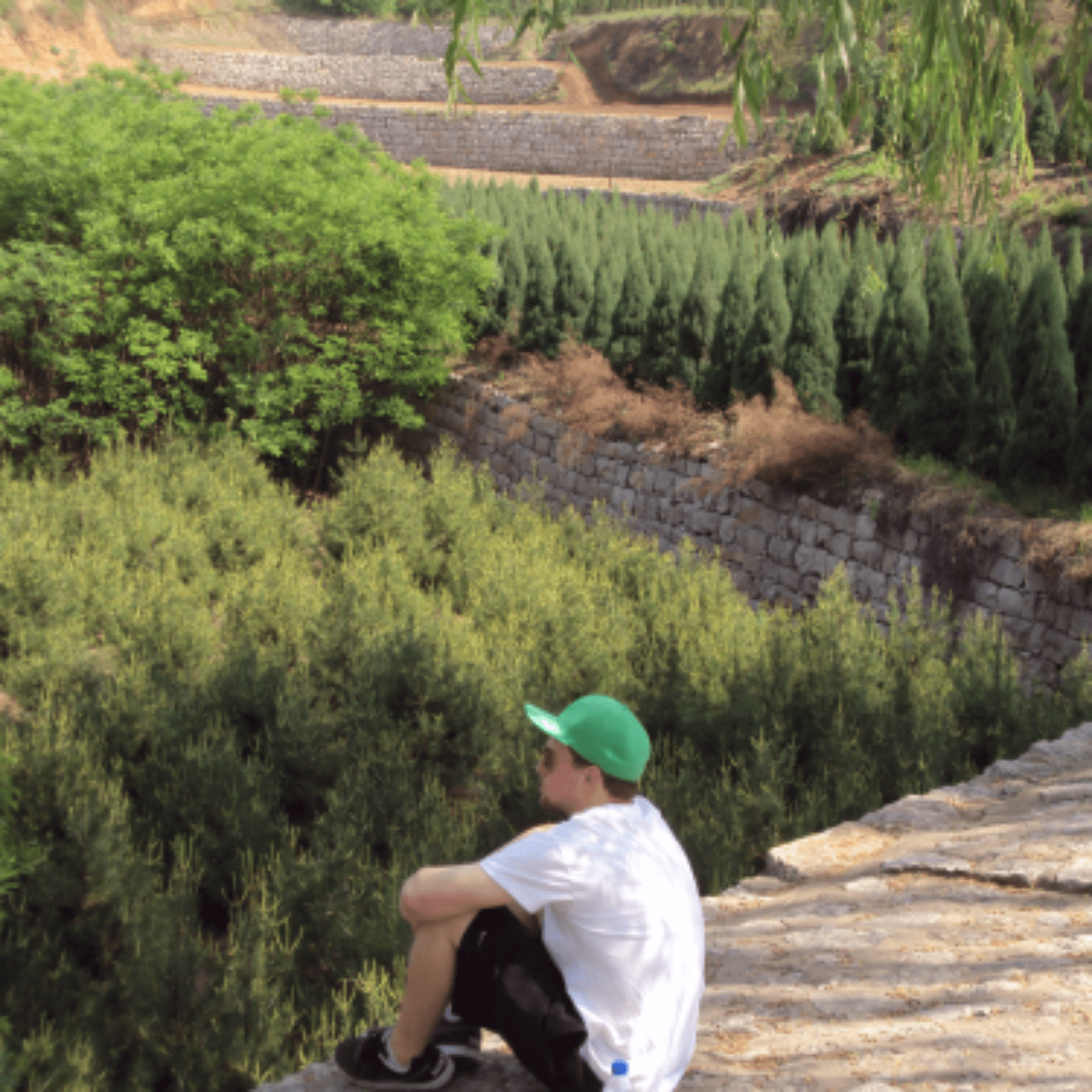 Academics - Global Asian Studies Program