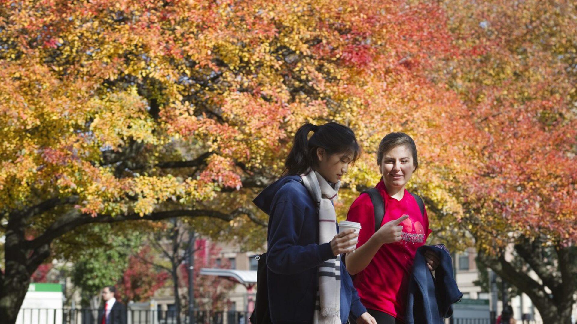 Resources - Global Asian Studies Program