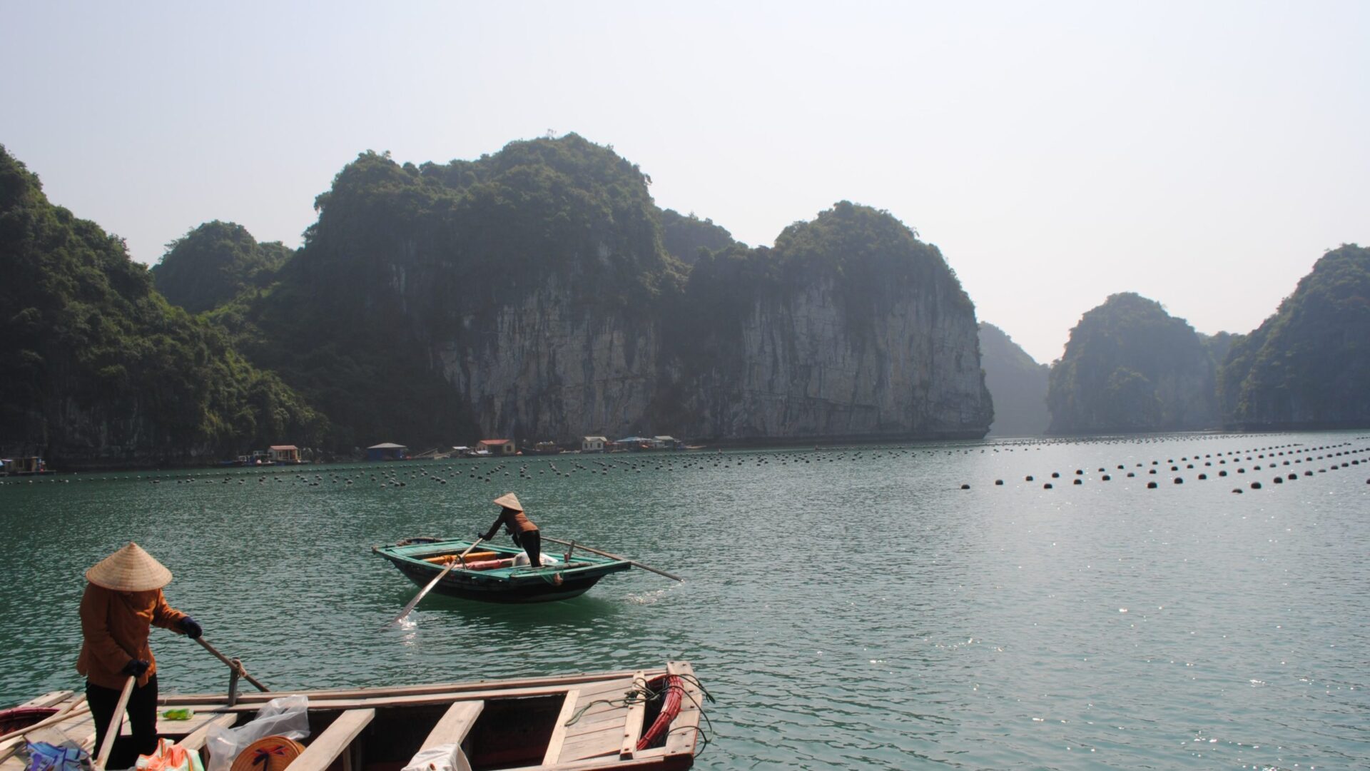 Majors & Minors - Global Asian Studies Program