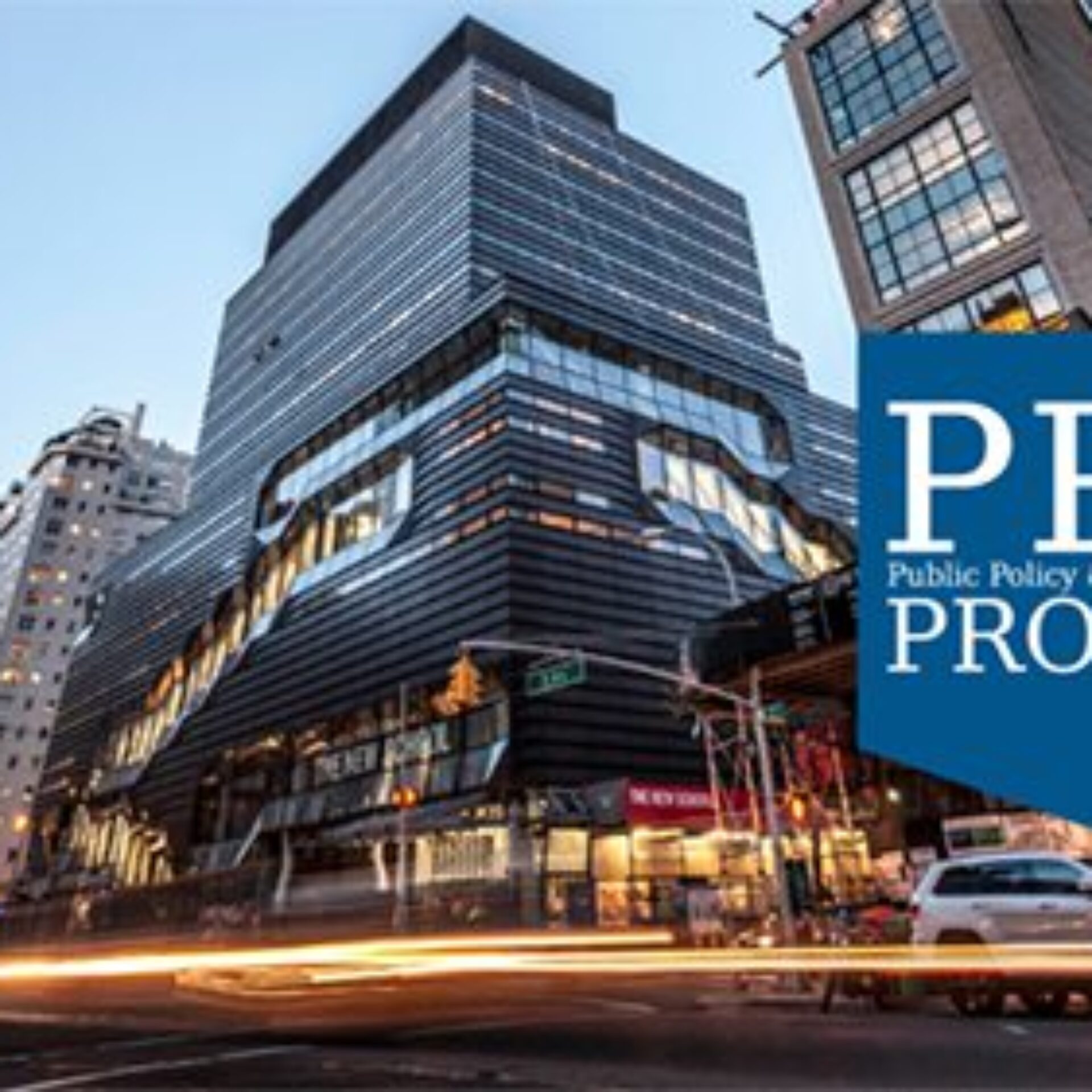 PPIA Fellowship - Human Services