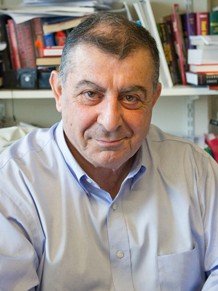 Kamran Dadkhah - College of Social Sciences and Humanities