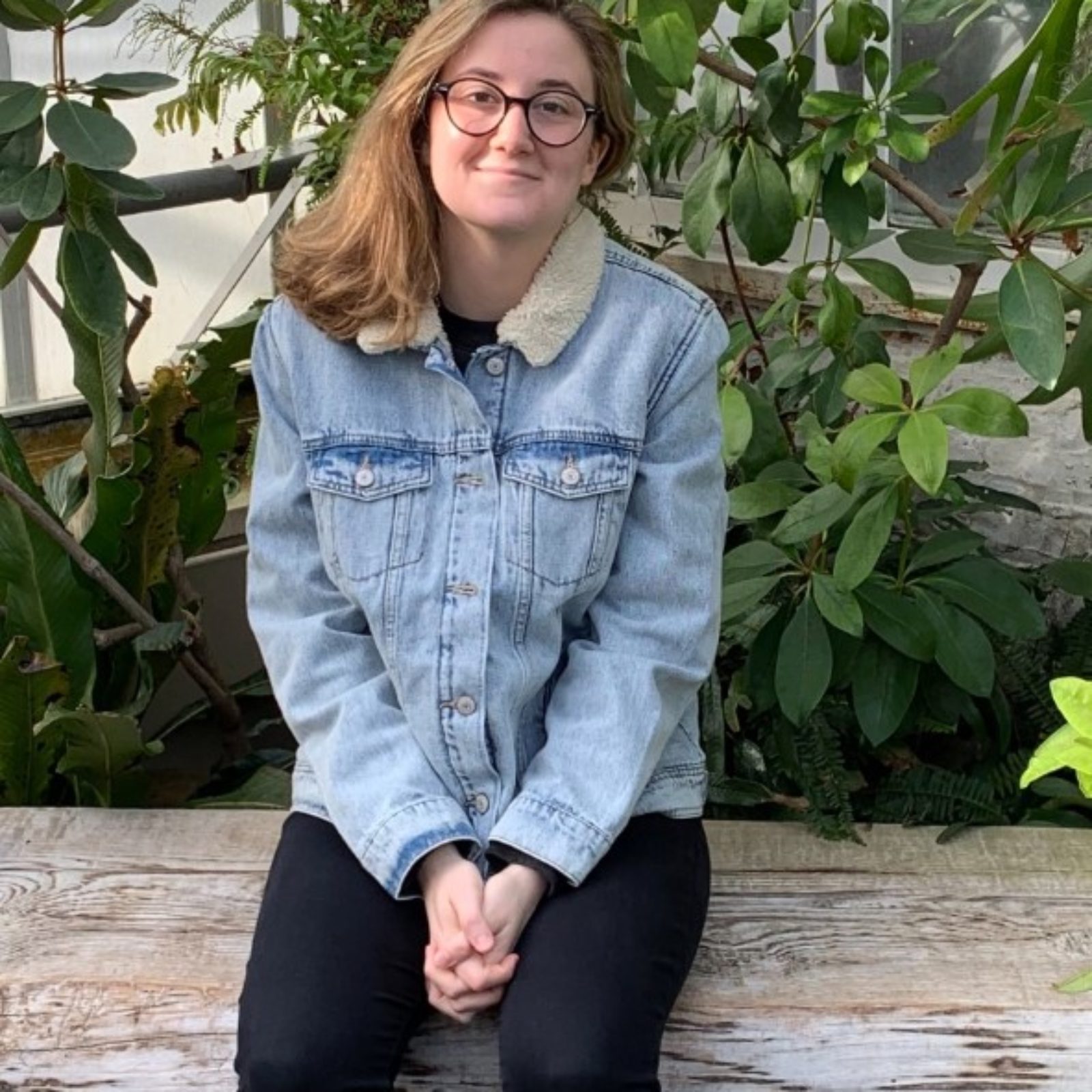 Allyson Koehler - College of Social Sciences and Humanities