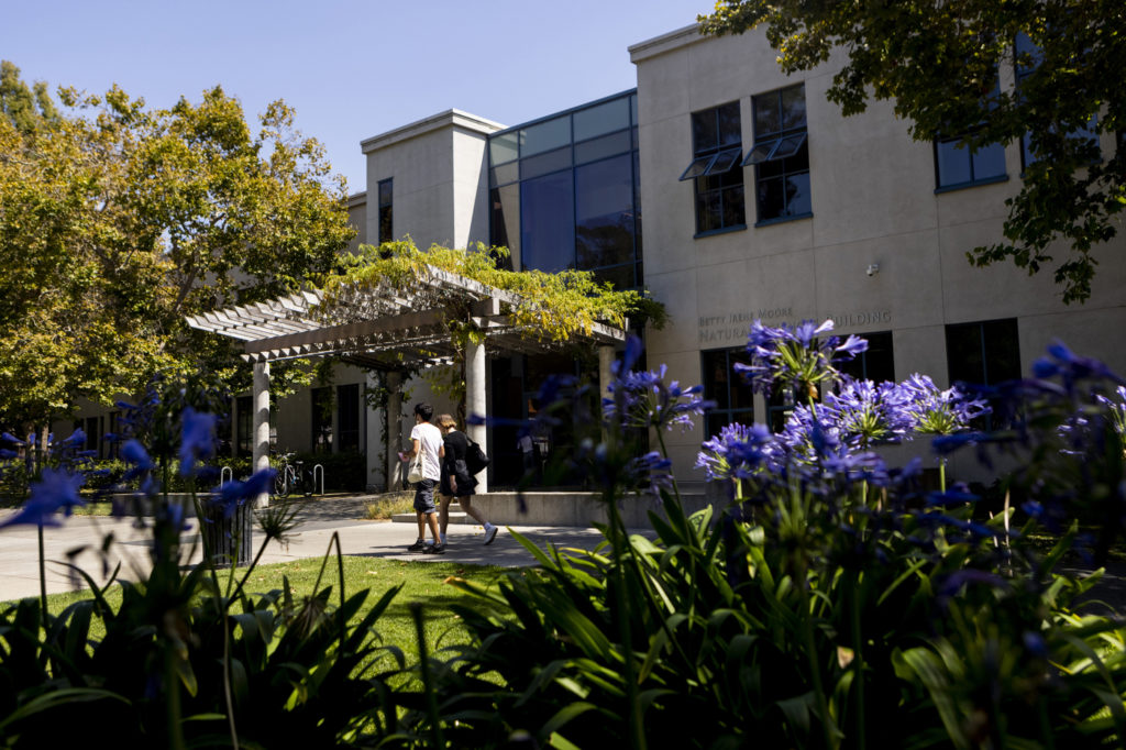 Interested in social justice leadership? A new program at mills college ...