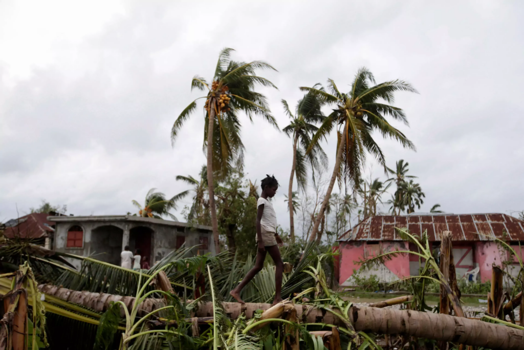 How the Caribbean Is Building Climate Resilience - College of Social ...